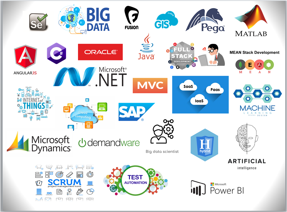 Krazy Mantra HR Solutions Pvt Ltd - Career Opportunities